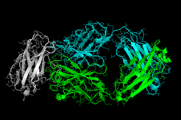 Olympic Protein Technologies | Custom Protein Production